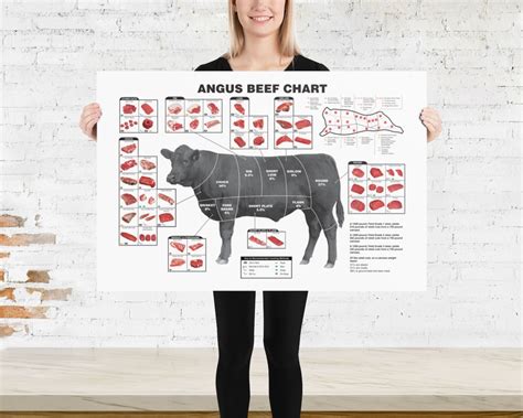 Angus Beef Chart Poster Big Sized Kitchen Decor Butcher Diagram Meat