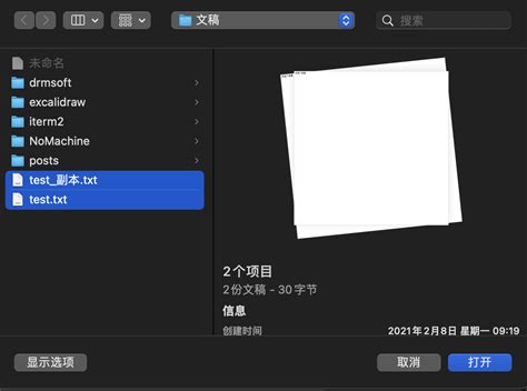 File System Api 笔记 前端小枫
