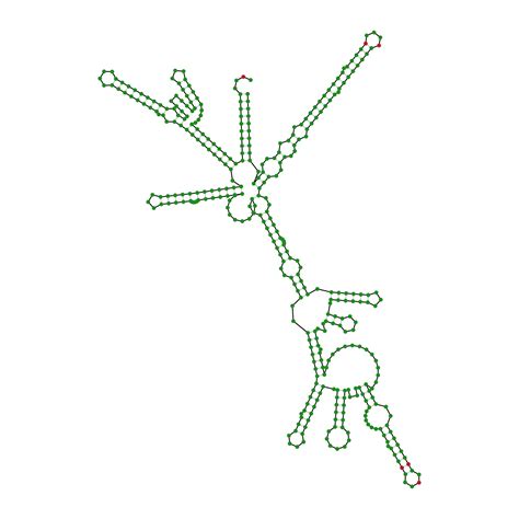 finding homologs of a gene in a genome — biotite