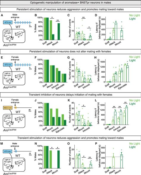 Figure 7 From Limbic Neurons Shape Sex Recognition And Social Behavior