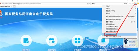 河南税务局网站添加到ie浏览器可信站点中，启用“activex控件和插件”，将安全级别设置为‘中的具体操作检测到客户环境未将henan