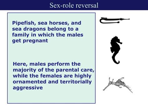 Mate Selection Principles And Theories Ppt