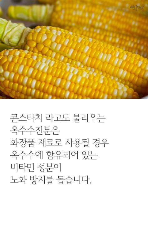 화장품 성분 알아보기 옥수수전분 네이버 포스트