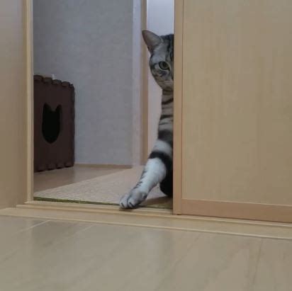 Peekme