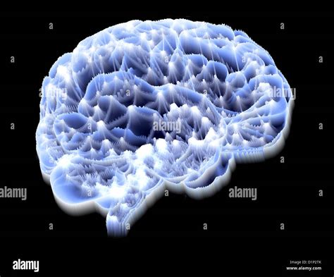 Brain Neural Network Stock Photo Alamy
