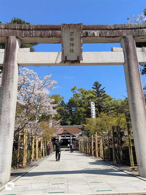 武田二十四将騎馬行列 Chienokoのブログ