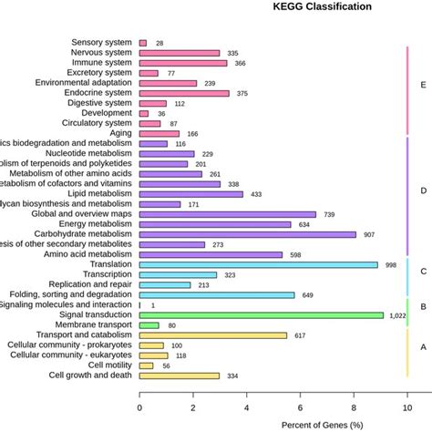 Gene Function Classification Using Kog The Three Classifications