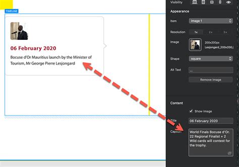 New Bric Timeline Custom Brics Blocs Forum