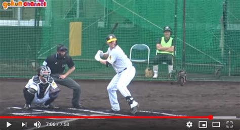 2020阪神タイガース春季キャンプ Sakapon67の釣行記 楽天ブログ