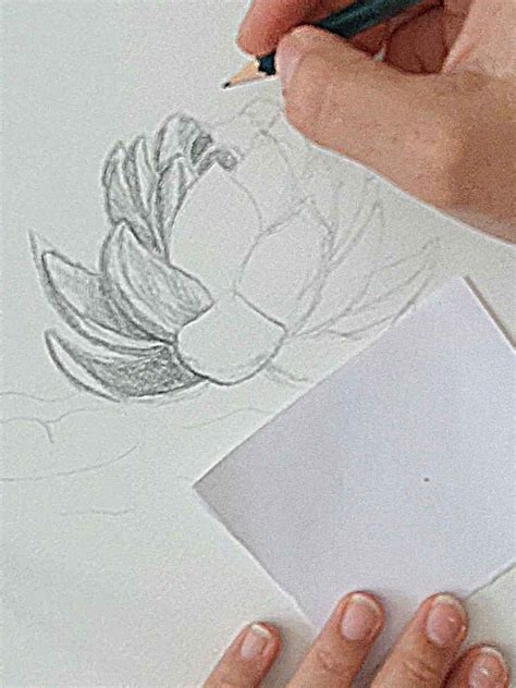 How To Sketch Your Own Lotus Flower Drawing Artsydee Drawing Painting Craft Creativity