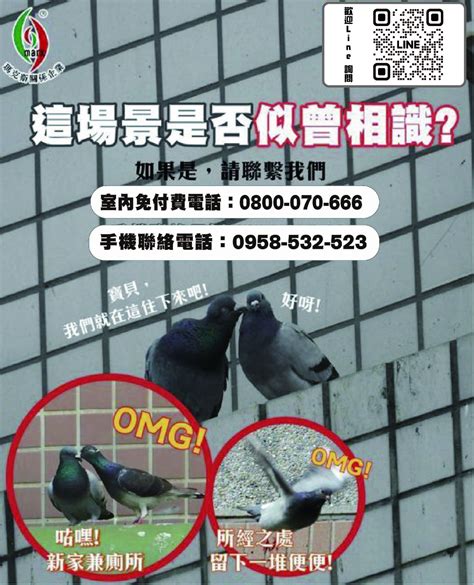 彰化防鳥專家（一通電話全台服務） 每天早上一打開窗就看見鴿子麻雀與你打招呼嗎 甚至已經開始築巢了 留下滿地的糞便與羽毛 不知不覺中