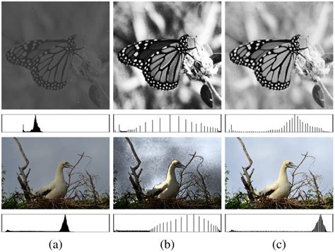论文阅读 空间熵图像增强算法spatial Entropybased Contrast Enhancement In Dct Csdn博客