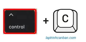 Thoát khỏi vòng lặp vô hạn trong python Mac