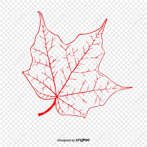 เวกเตอร์ต้นไม้ใบ ใบหักรูป Png ฤดูใบไม้ร่วง การวาดมือการ์ตูน Png สำหรับ