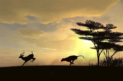 National Geographic 4k Wallpapers Top Free National Geographic 4k