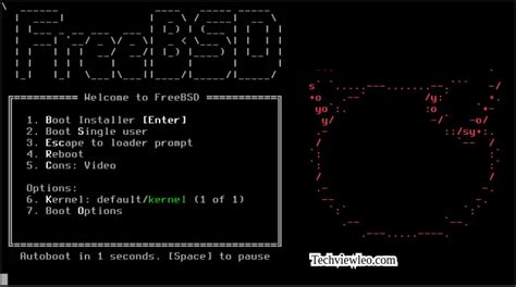 How To Install FreeBSD On KVM Or Proxmox VE CloudSpinx