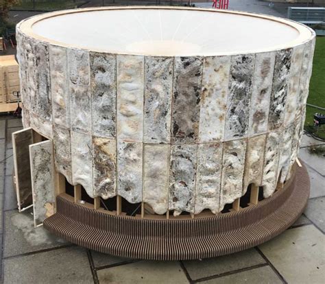 Pavilion Grown From Mycelium Acts As Pop Up Performance Space Artofit