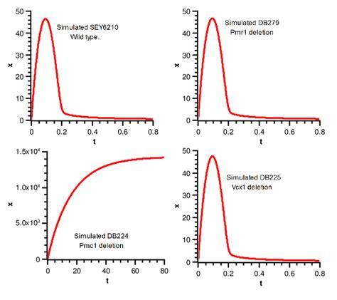 Simulation Results For Cytosolic Calcium Concentration Download
