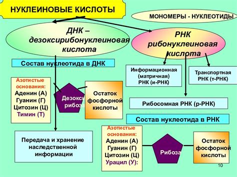 Тема лекции — презентация