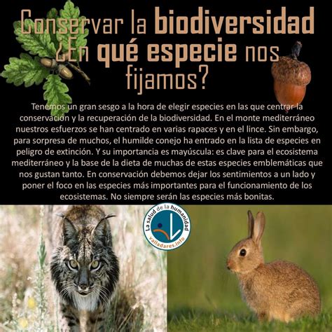 Conservar la biodiversidad En qué especie nos fijamos Fernando Valladares