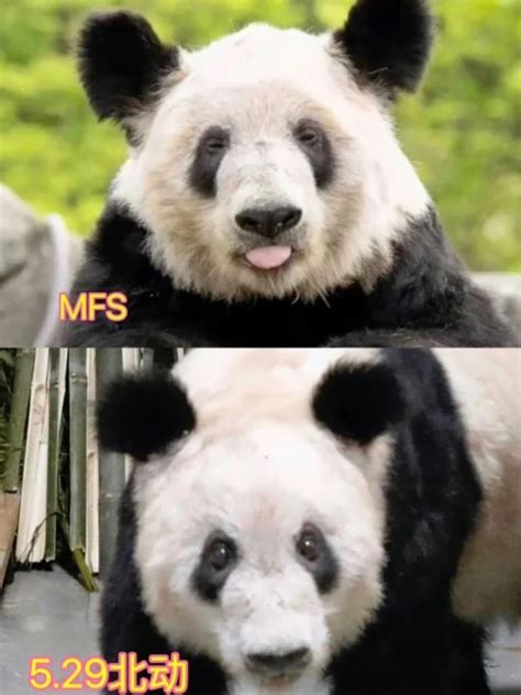 Huawei Reaches 14nm Eda Breakthrough With Other Chinese Chip Firms