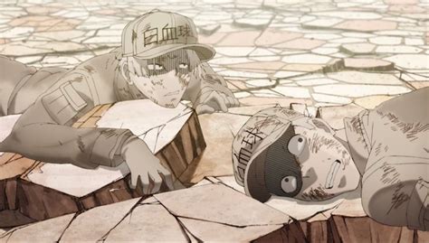 はたらく細胞 はたらく細胞 イラスト かわいい