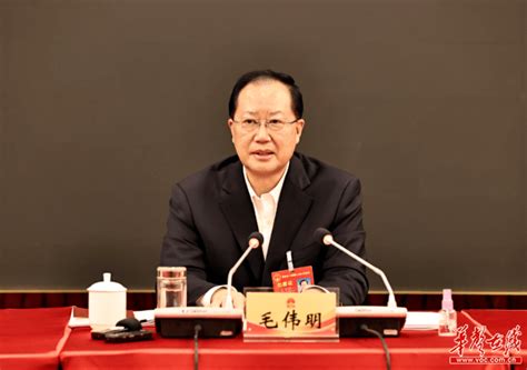 毛伟明参加株洲市代表团分组讨论：焕发制造之光 展现株洲之为工作发展建设