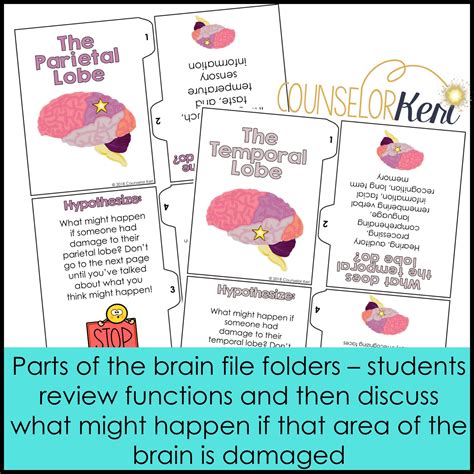 Parts Of The Brain Classroom Guidance Lesson And Brain Centers
