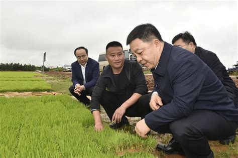 叶建春在鹰潭调研：不断巩固增强经济回升向好态势凤凰网江西凤凰网