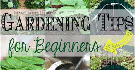 Gardening Tips For Beginners Hometalk