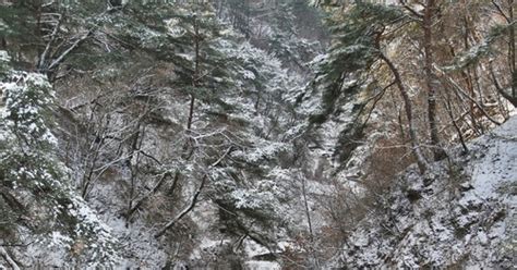 산수화 같은 제천 의림지 계곡