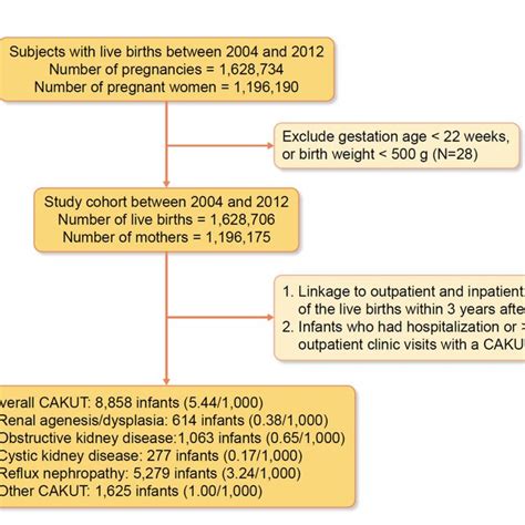 Flow Chart Of The Study Cohort Selection Download Scientific Diagram