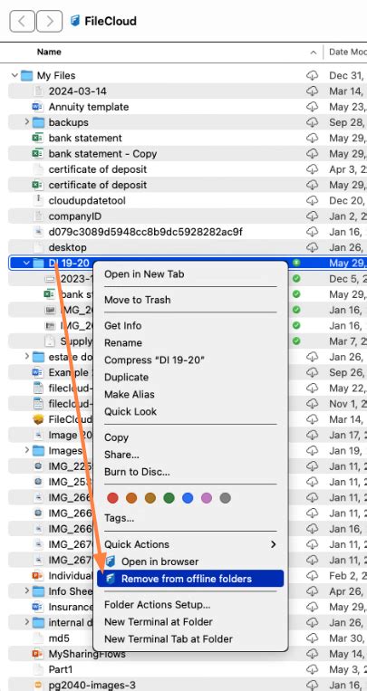 Remove Files From Offline Folders Filecloud Docs Server