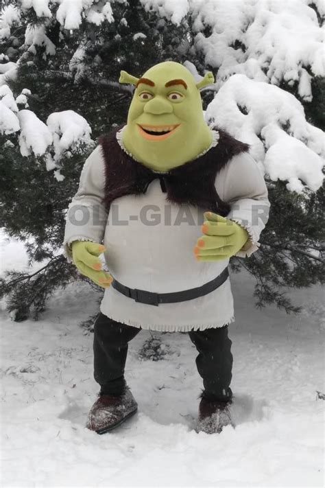 Ростовые куклы doll-giant | Zelda characters, Shrek, Mascot
