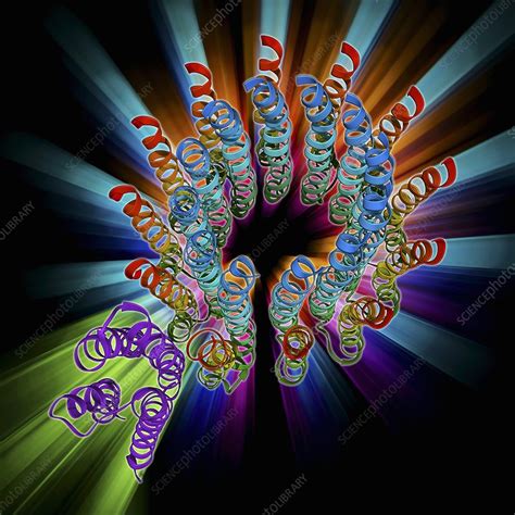 Atp Synthase Molecule Stock Image F009 5994 Science Photo Library