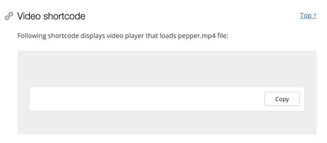 Theme Handbook Broken Code Snippets On Video Page Issue 533