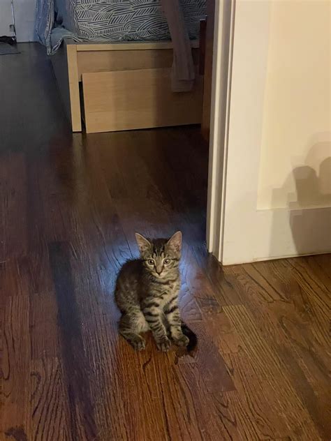 Smokin That Queen Lizzy Pack Remoney