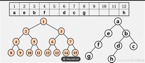 C语言二叉树二分树 Csdn博客