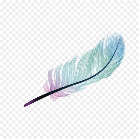 Drawing Feather Bird Art Sketch Feather Png Download 10501600