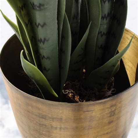Brass Planters Artiplanto