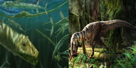 Fossil Reveals 240 Million Year Old Dragon Pressmediaofindia