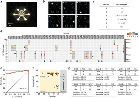 Programmable Multiplexed Nucleic Acid Detection By Harnessing Specificity Defect Of Crispr