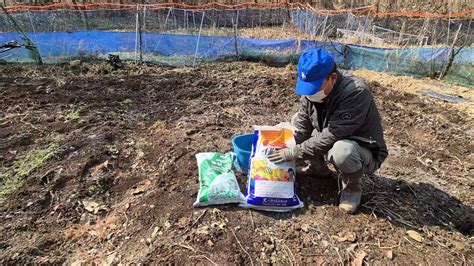 감자밭 만들기 텃밭 만들기 주말농장 밭만들기 Youtube