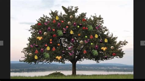 Revelation Bible Prophecy Teaching YouTube