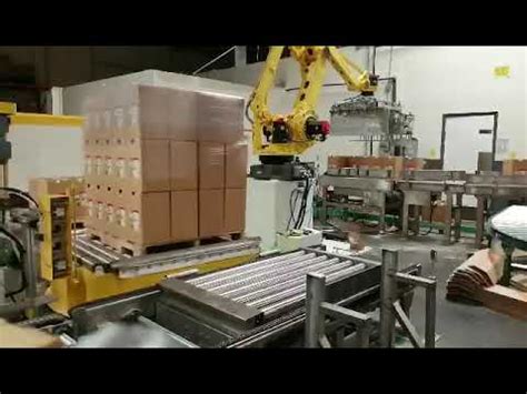 Automated Pallet Wrapping And Packing In One System Wrapping Machine