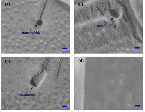 Cryo Sem Micro Graphs Of Bulk Co2 Nanobubbles A C And Di Water