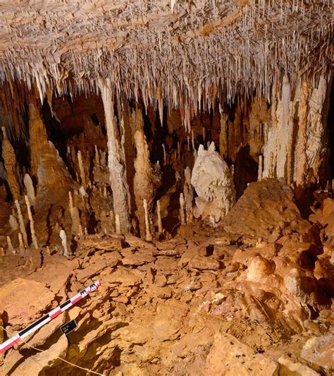 La Grotte De Cussac Archéologie Culturegouvfr