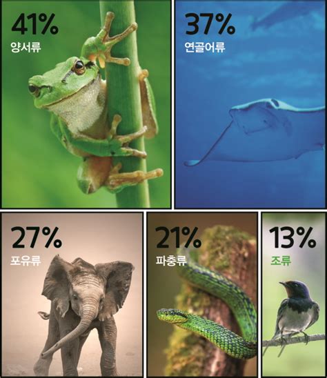 그 많던 맹꽁이는 어디로 갔을까