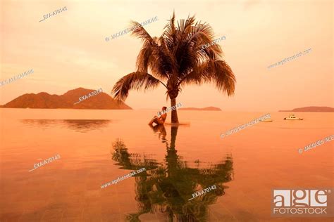 Woman Sitting Under Palm Tree In Pool Orange Image Stock Photo