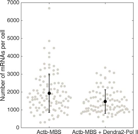 Figures And Data In Rna Polymerase Ii Cluster Dynamics Predict Mrna Output In Living Cells Elife